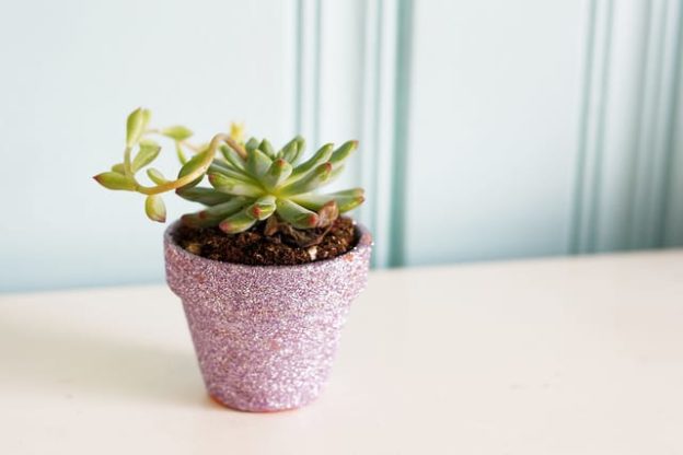 20 Creative Ways to Upgrade Your Boring Flower Pots 20 Creative Ways to Upgrade Your Boring Flower Pots